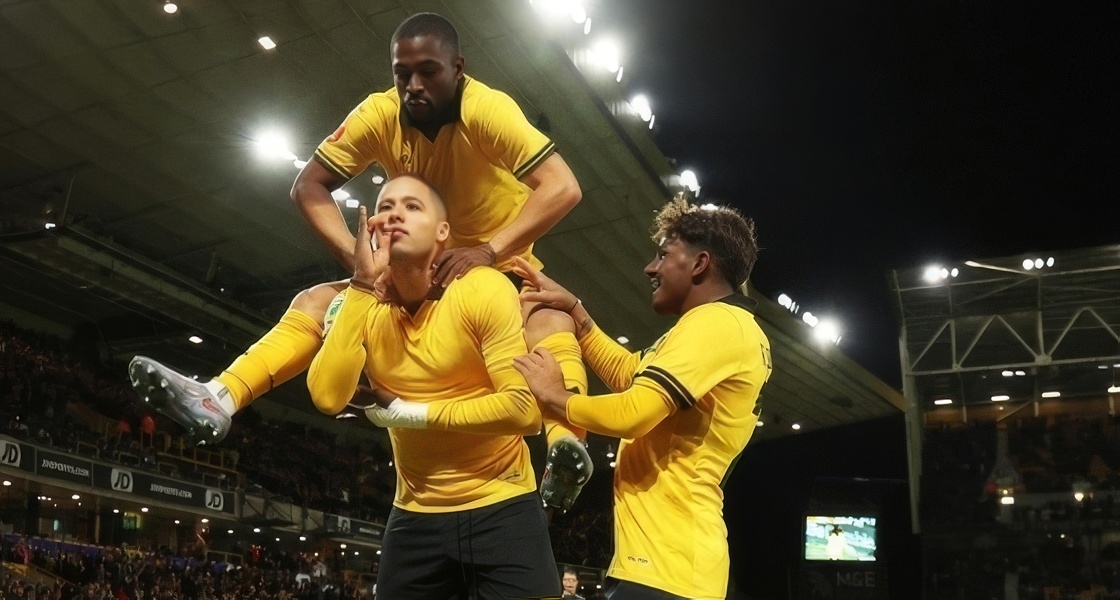 Buy Wolverhampton Wanderers FC vs Newcastle United FC Tickets | Seatpin